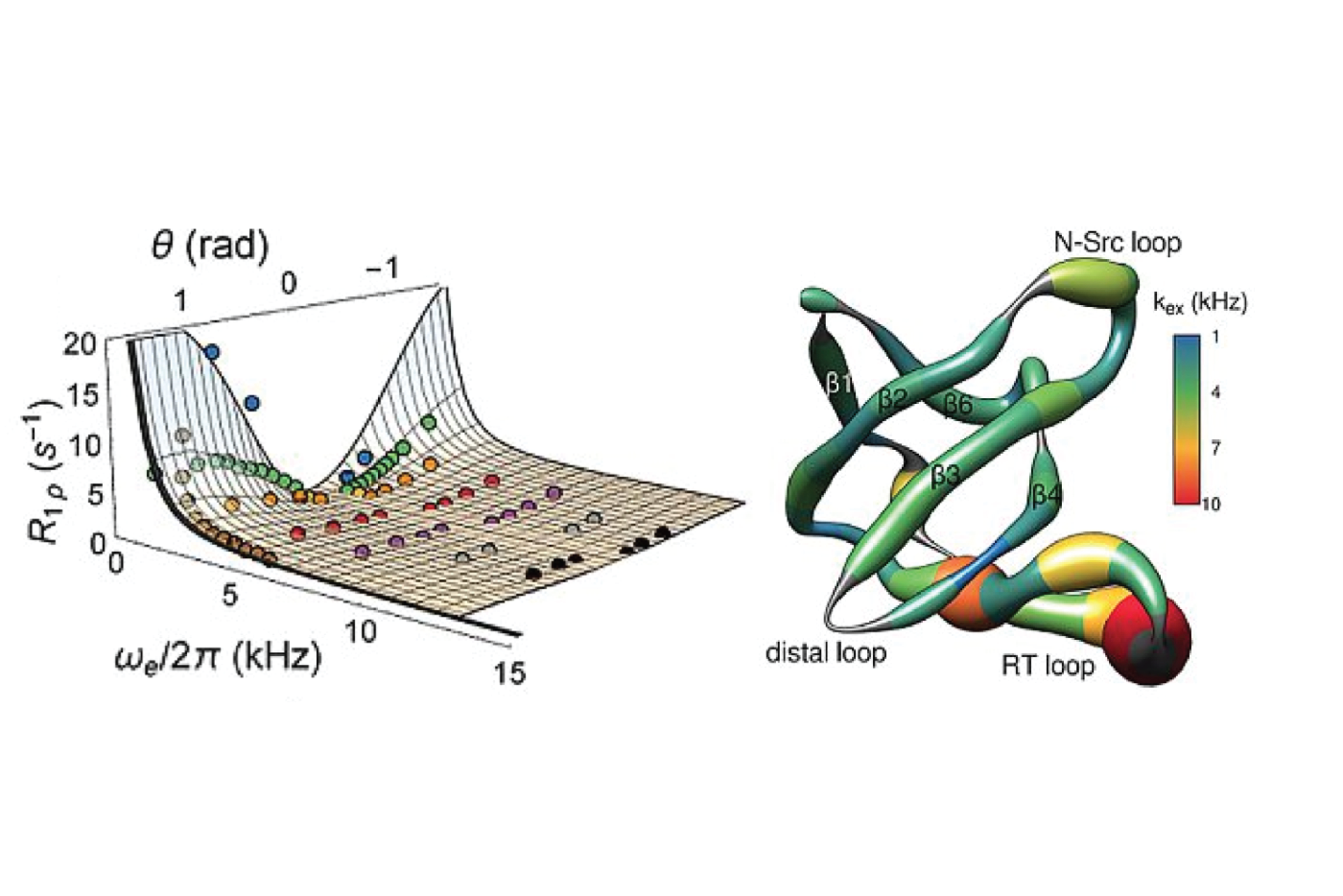 Protein Dynamics - Linser - CCB - TU Dortmund